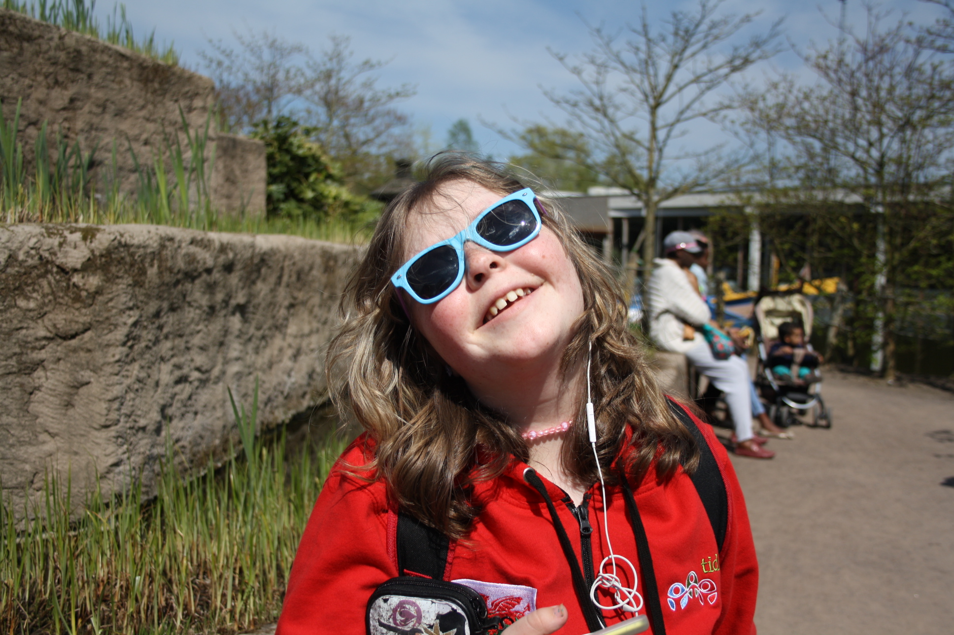 Welsh Youth Parliament - Learning Disability Wales